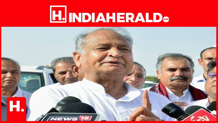 They roam more than stray dogs: CM of Rajasthan..