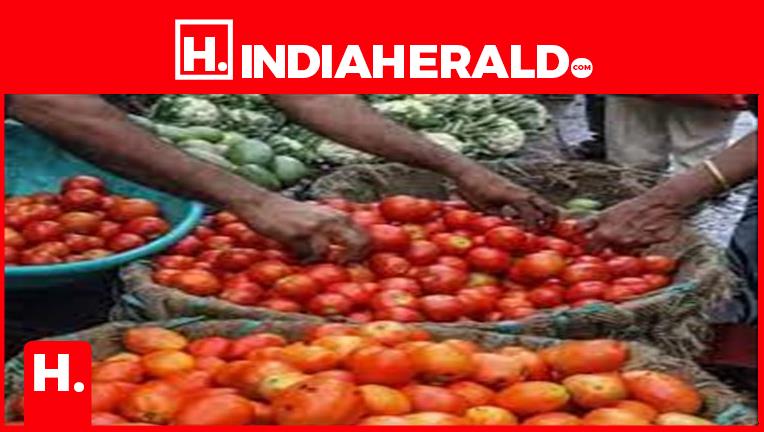 Tomato Price falls to 35 rs per kg..