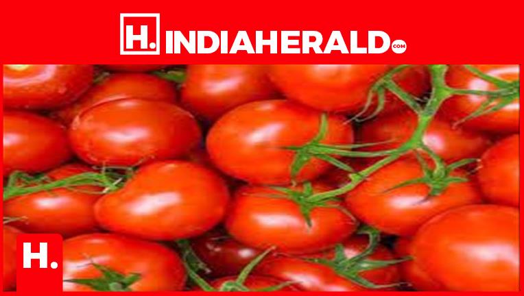 Tomato price reached from 100 to 80..