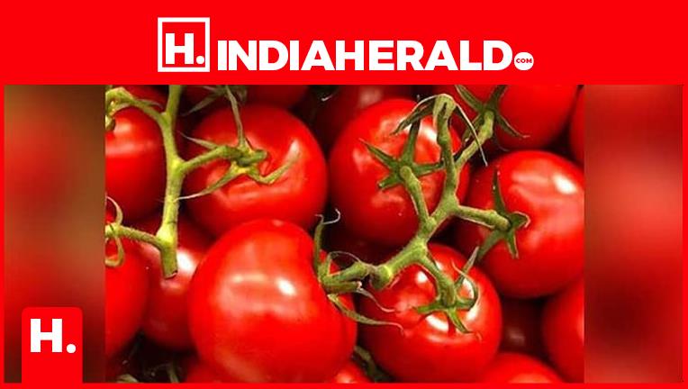 Tomato prices dip significantly in Telangana Hyderabad