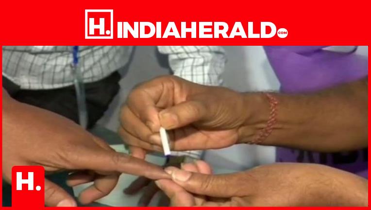 MP Election Voting: Show the ink on your finger and get dis