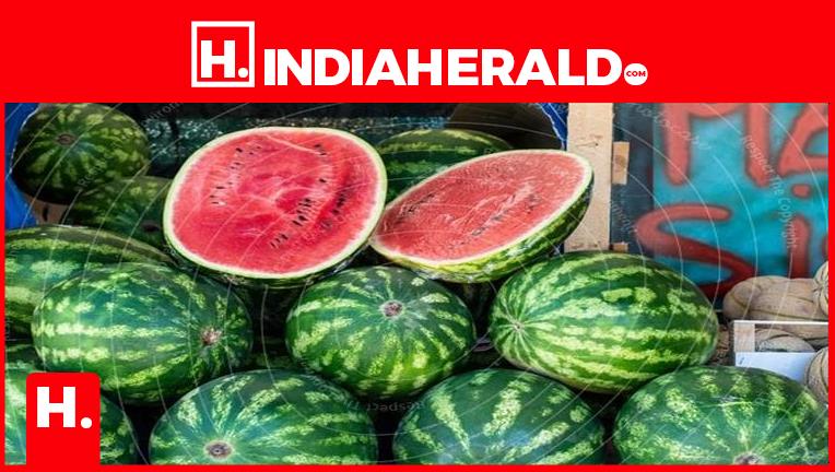 Watermelon price hikes amid rise in temperature in Karnatak