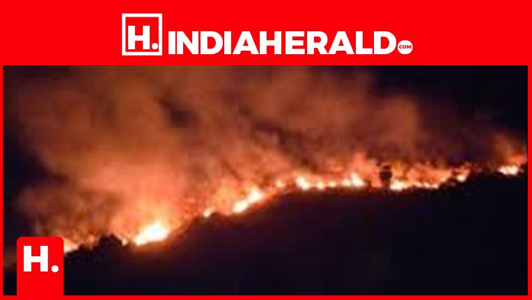 What caused the Tiruvannamalai Deepam fire disaster?