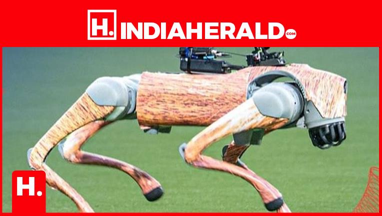 ఐపీఎల్‌లో కనిపిస్తున్న ఈ రోబో డాగ్.. పేరేంటో తెలుసా?
