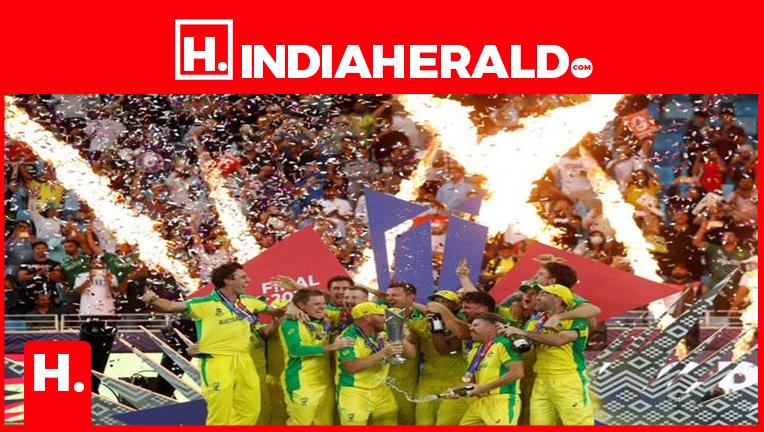 T20 World Cup Final: Why did New Zealand slip?