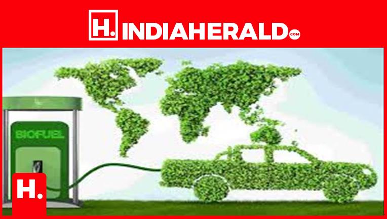 Easy to make Biofuels at Home