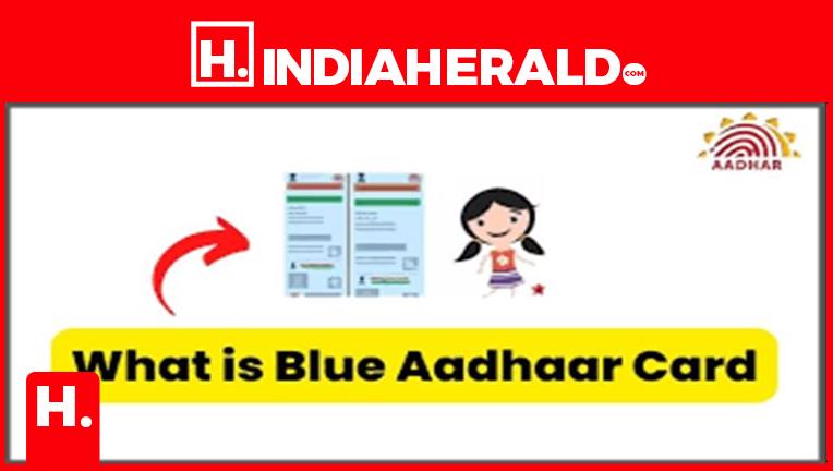 For who all Blue Aadhaar Card.. ? How to Apply?