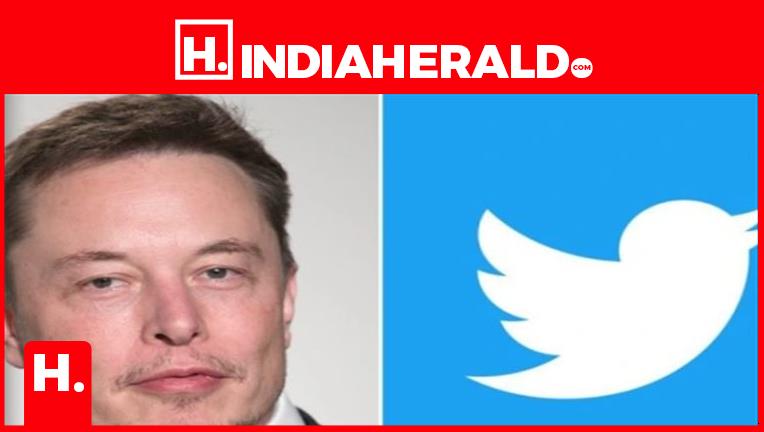 Freedom from Twitter prison for small mistakes.. Elon Musk