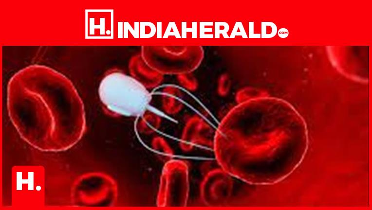 Nanobots Potential: Tiny Machines, Enormous Medical Advan