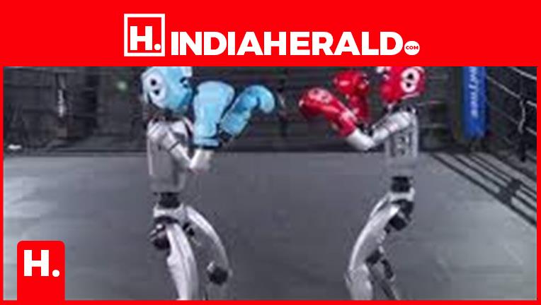 World s first Robot Boxing Tournament held in China
