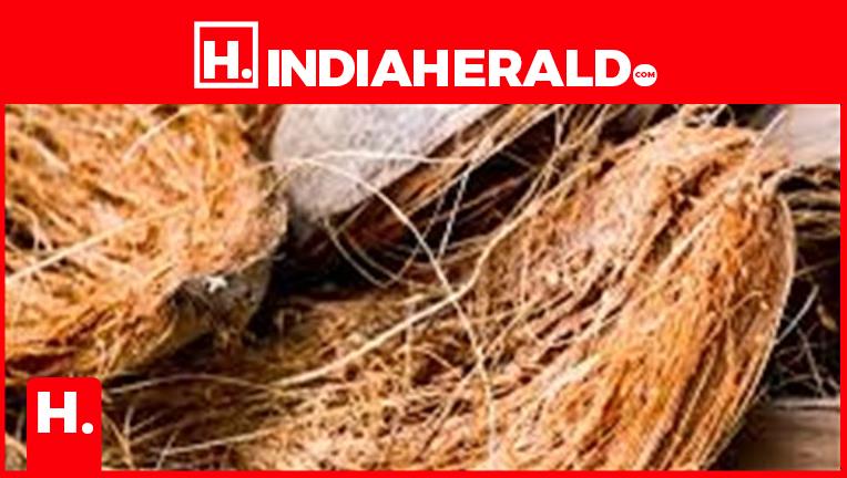 7 Clever Uses Of Coconut Husk You ll Wish You Knew Sooner
