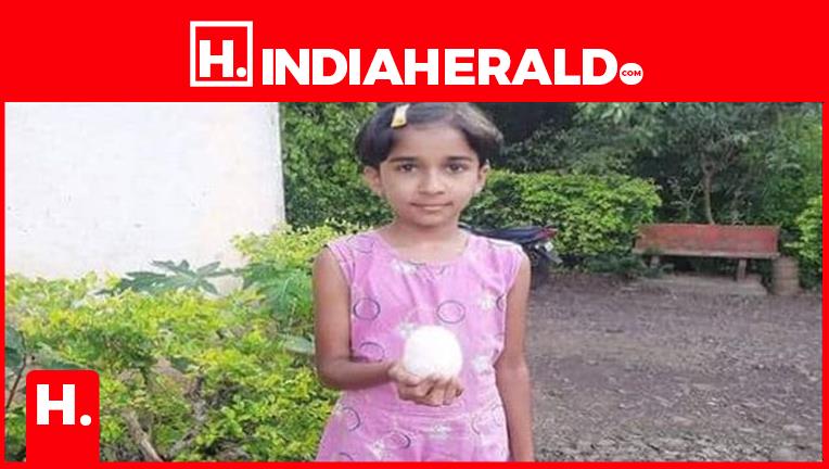 A chicken of Hy-line W-80 breed reportedly laid an egg