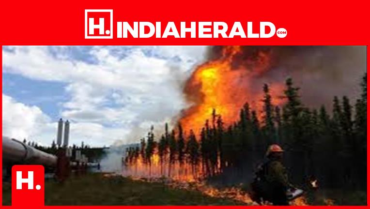 A fire that never extinguishes, what is zombie fire?