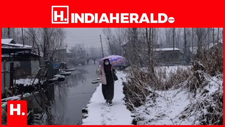 Authorities investigate mysterious infection as death tol