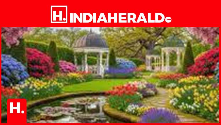 Chennai s Botanical Gardens: A Perfect Day Guide.