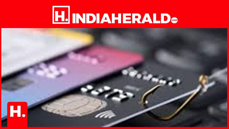 Lost Card? Act Fast To Prevent Fraud