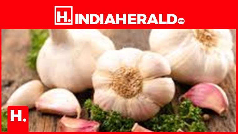 Miracle or Myth? What Happens When You Eat Raw Garlic Daily