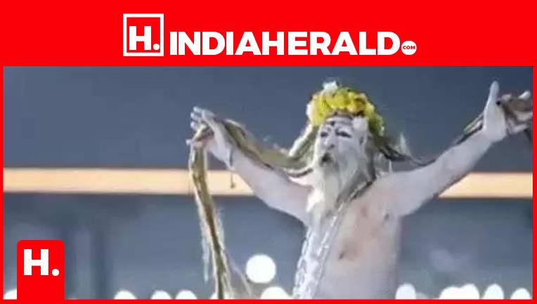 On seeing the bare Nagas, a overseas lady started out start