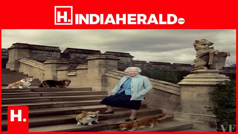 Queen Elizabeth was fond of pet dogs what will happen now???
