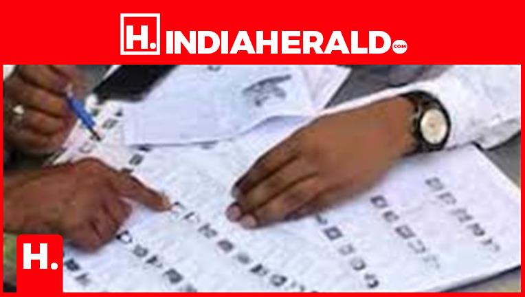 SIR Form: How to Check If Your BLO Has Submitted Your Form