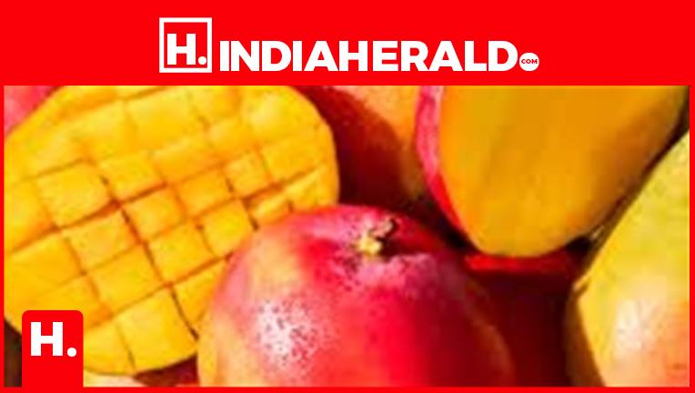 Store Mangoes Properly For Optimal Taste And Texture.