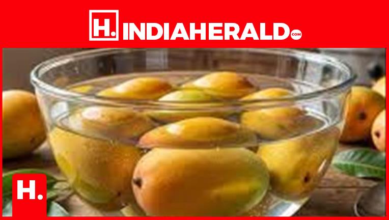 The Right Way to Eat Mangoes to Avoid Falling Sick