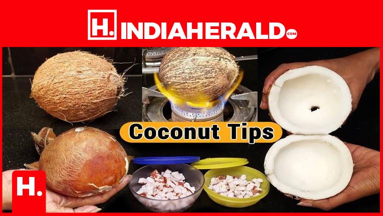 Unique method of extracting Coconut Flesh