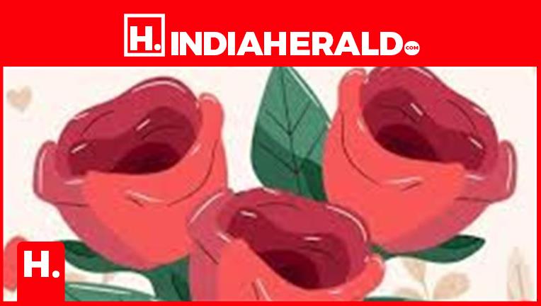 Valentine s Week 2026: What Is Rose Day? Know History and S