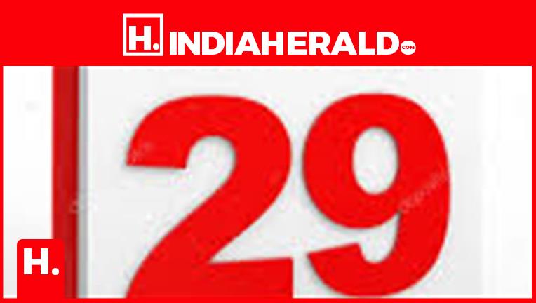 Why Is October 29 National Cat Day?